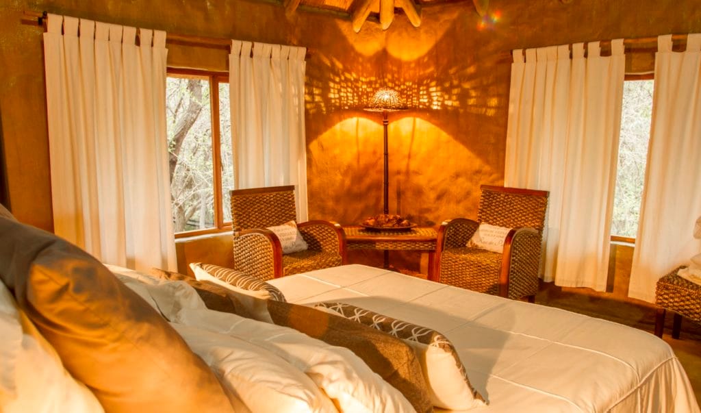 Pied Kingfisher – Littlebush Lodge